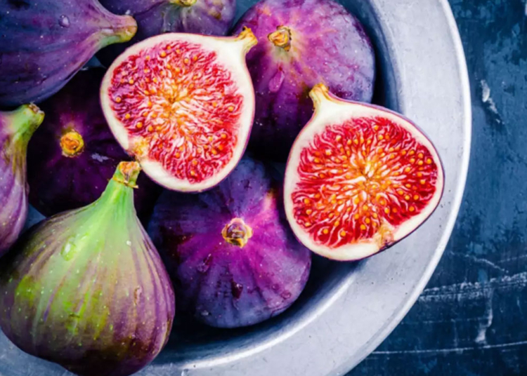 Katora Food : దీని గురించి తెలుసా.. ఎన్ని ప్ర‌యోజనాల‌ను అందిస్తుందంటే ...