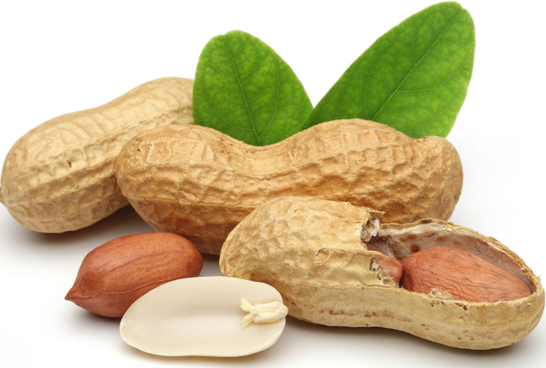 రోజూ గుప్పెడు వేరుశెన‌గ‌ల‌ను తింటే.. బోలెడు లాభాలు..! - Ayurvedam365