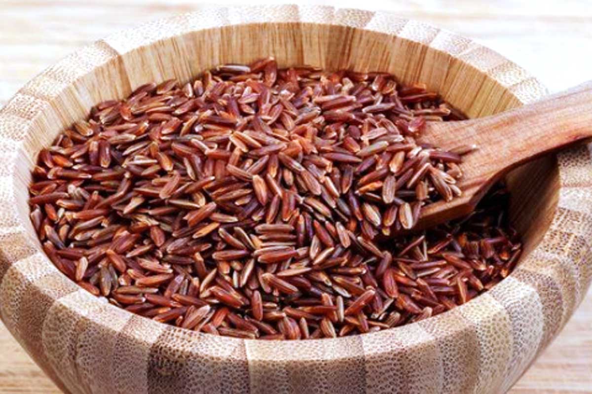 రెడ్ రైస్‌ను తిన‌డం వ‌ల్ల ఎన్ని లాభాలు క‌లుగుతాయో తెలుసా ? - Ayurvedam365