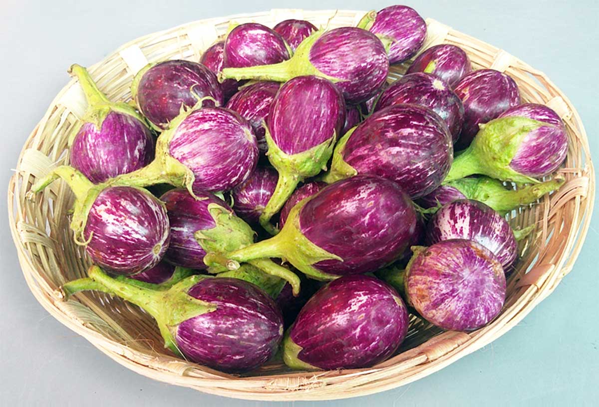 Brinjal : వంకాయ‌ల‌ను త‌ర‌చూ తినాల్సిందే.. ఎన్నో ప్ర‌యోజ‌నాల‌ను పొంద‌వ ...