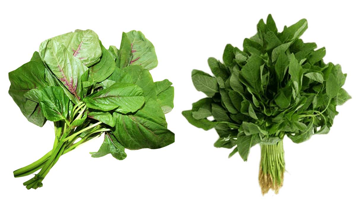 Thotakura : పురుషుల సమస్యలను పోగొట్టే తోటకూర.. దీంట్లోని ఆరోగ్య ...