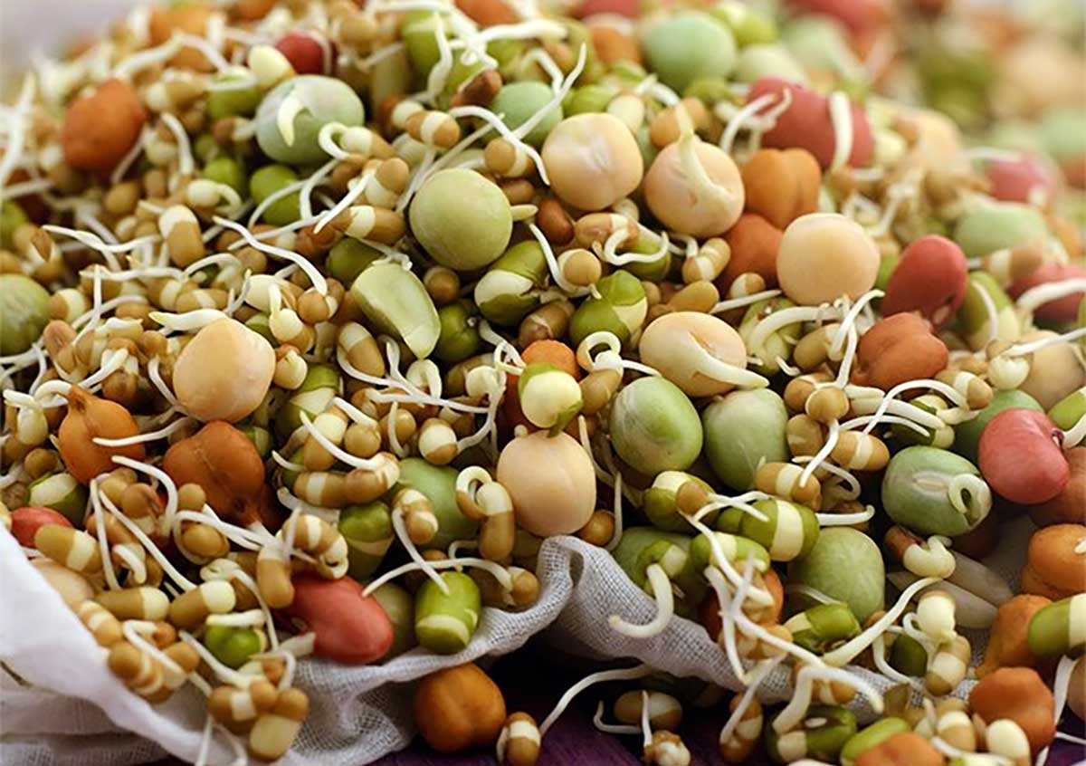 Sprouts : మొల‌కెత్తిన విత్తనాల విష‌యంలో ఈ పొర‌పాటు అస్స‌లు చేయ‌కండి ...