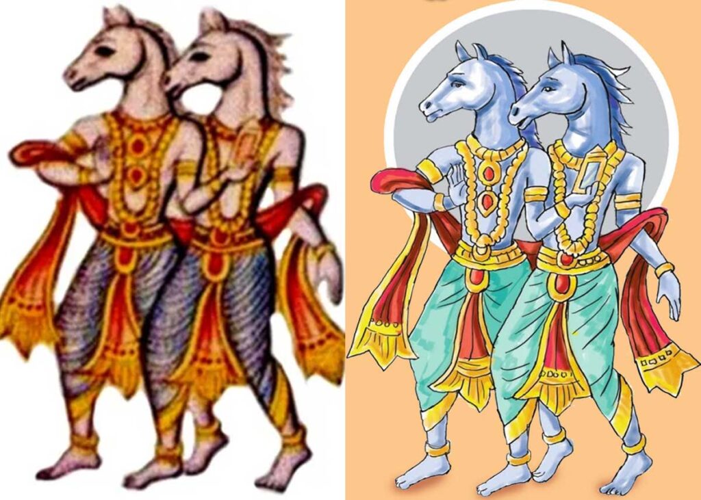 Ranapala Aaku : ఈ ఆకుల‌తో ఎన్ని లాభాలు క‌లుగుతాయో తెలుసా.. అస‌లు న‌మ్మ ...