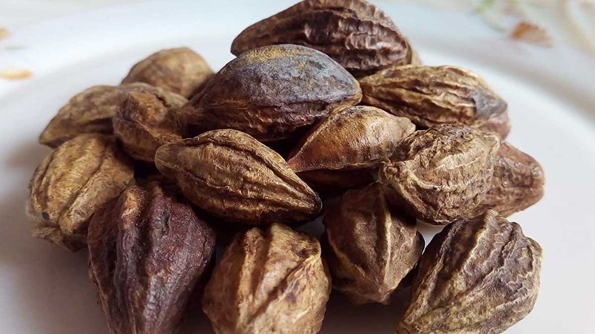 Karakkaya : ఆరోగ్యాన్ని ఇచ్చే త‌ల్లి.. క‌ర‌క్కాయ‌.. దీంతో ఏయే రోగాల‌ను ...