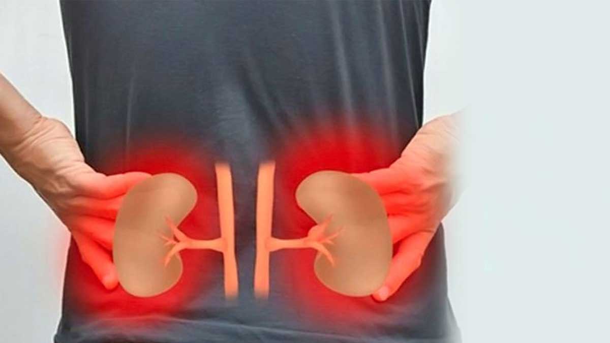 Kidneys : ఈ లక్షణాలు మీలో కనిపిస్తున్నాయా..? అయితే మీ కిడ్నీలు డేంజర్ ...