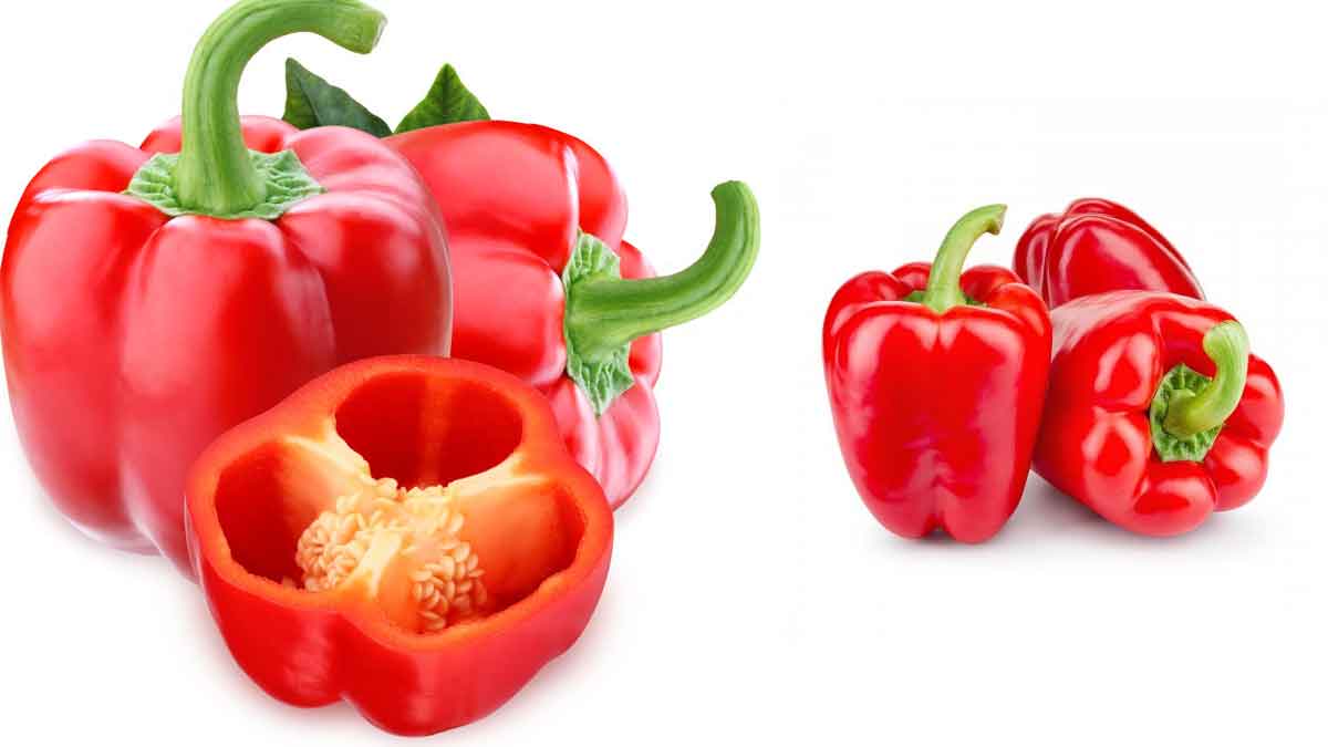 Red Capsicum : ఎరుపు రంగు క్యాప్సిక‌మ్‌తో ఎన్ని ప్ర‌యోజ‌నాలో తెలుసా ...