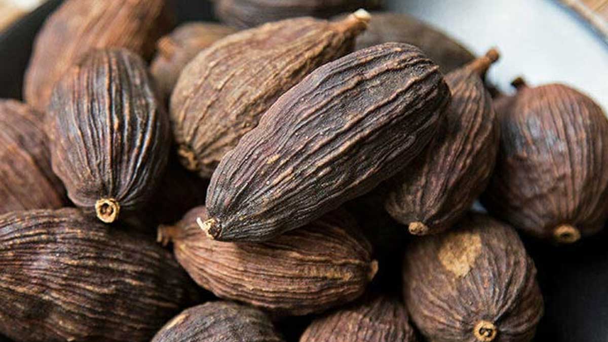 Black Cardamom : న‌ల్ల యాల‌కుల‌తో క‌లిగే ప్ర‌యోజ‌నాలు తెలిస్తే.. అస‌లు ...