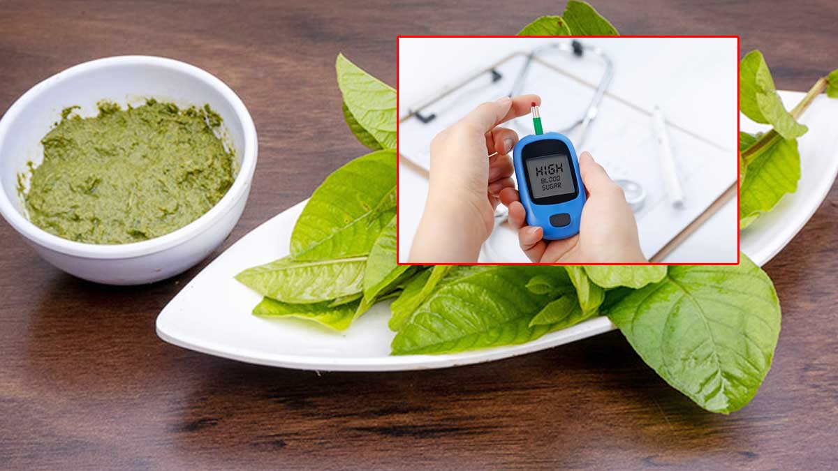 Guava Leaves For Sugar : షుగ‌ర్ 500 ఉన్నా సరే.. వెంట‌నే దిగి వ‌స్తుంది ...