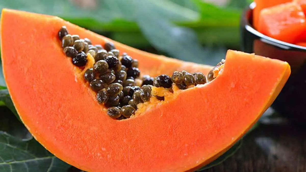 బొప్పాయి పండ్లతో అద్భుత‌మైన ప్ర‌యోజ‌నాలు.. దీన్ని తీసుకోవ‌డం మ‌రిచిపోకండి..! - Ayurvedam365