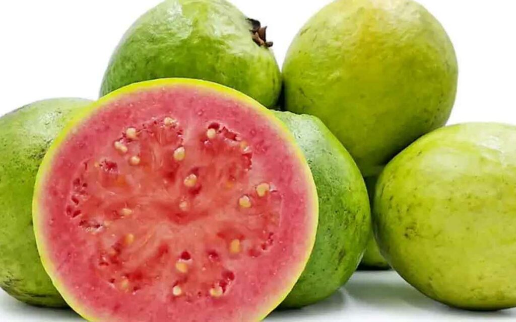 Red Guavas : ఎరుపు రంగు జామ‌కాయ‌ల‌ను తింటే ఏం జ‌రుగుతుందో తెలుసా ...